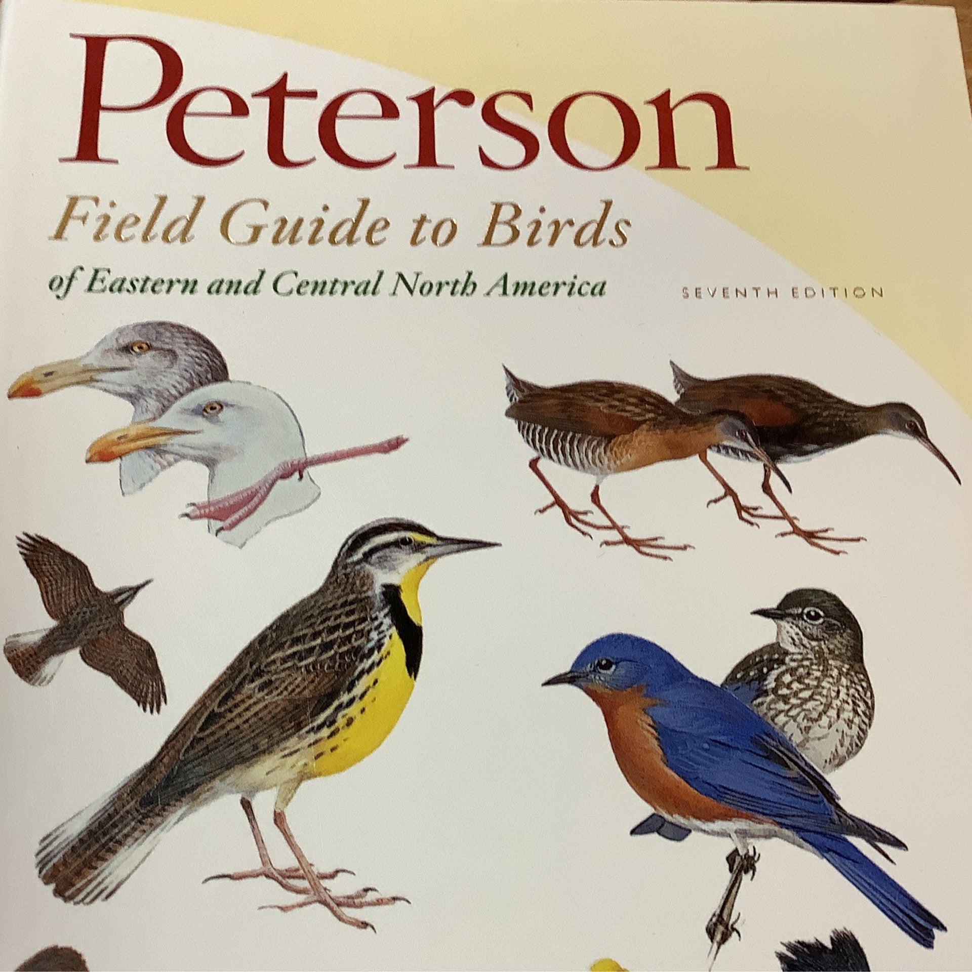 Book - Peterson Field Guide to Birds of Eastern and Central North ...