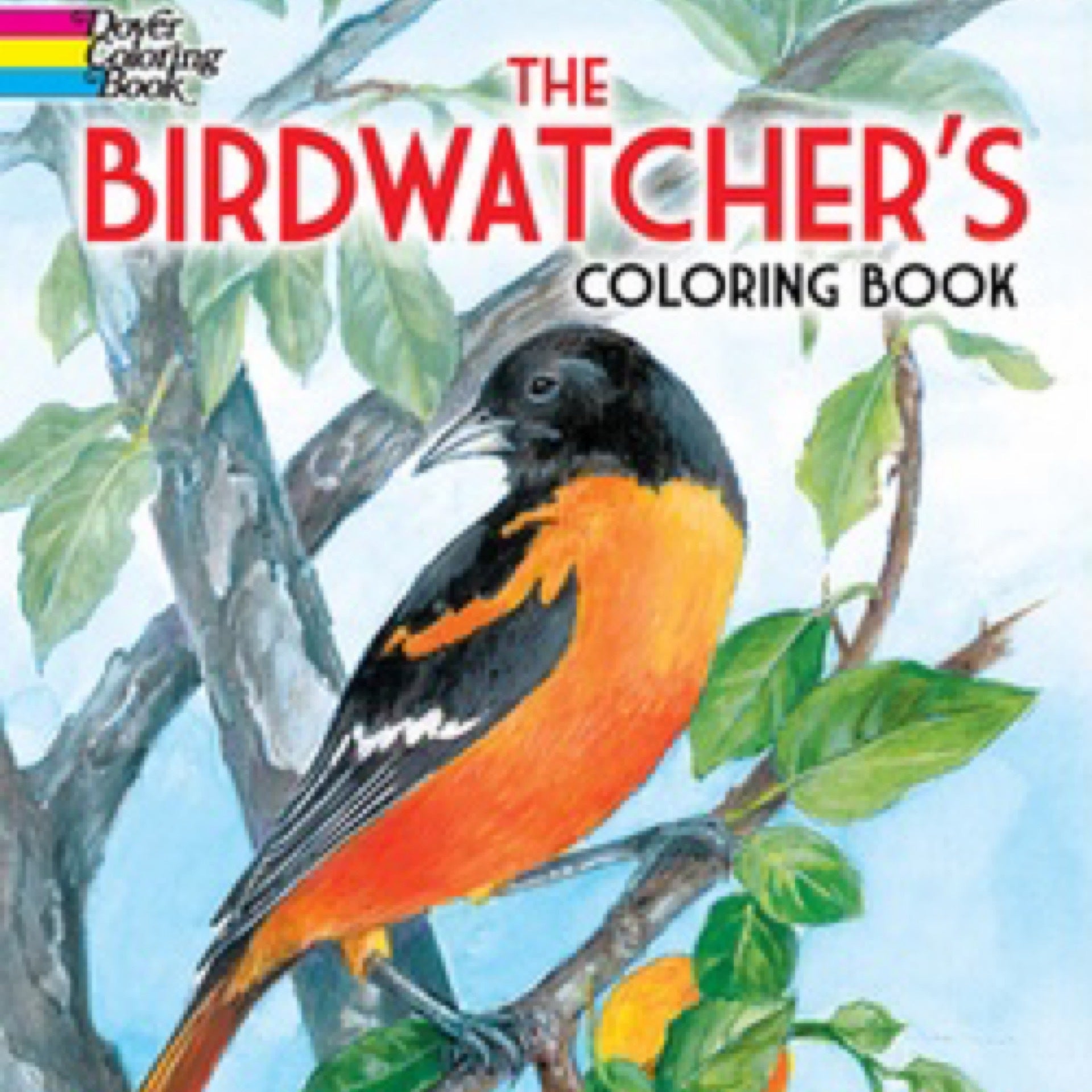 Book - Bird Watchers coloring | The Raptor Trust